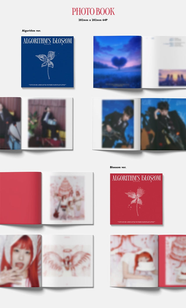 QWER - Algorithm's Blossom - K-Pop Time